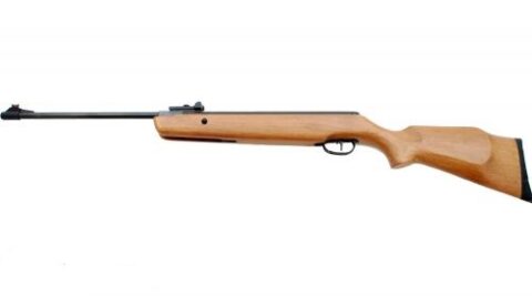 SMK XS19 .22 Spring Powered Air Rifle | Windrow Sports